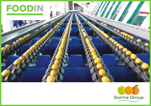Foodin | Μηχανήματα επεξεργασιας & συσκευασιας τροφιμων, ποτών, ελιας ...